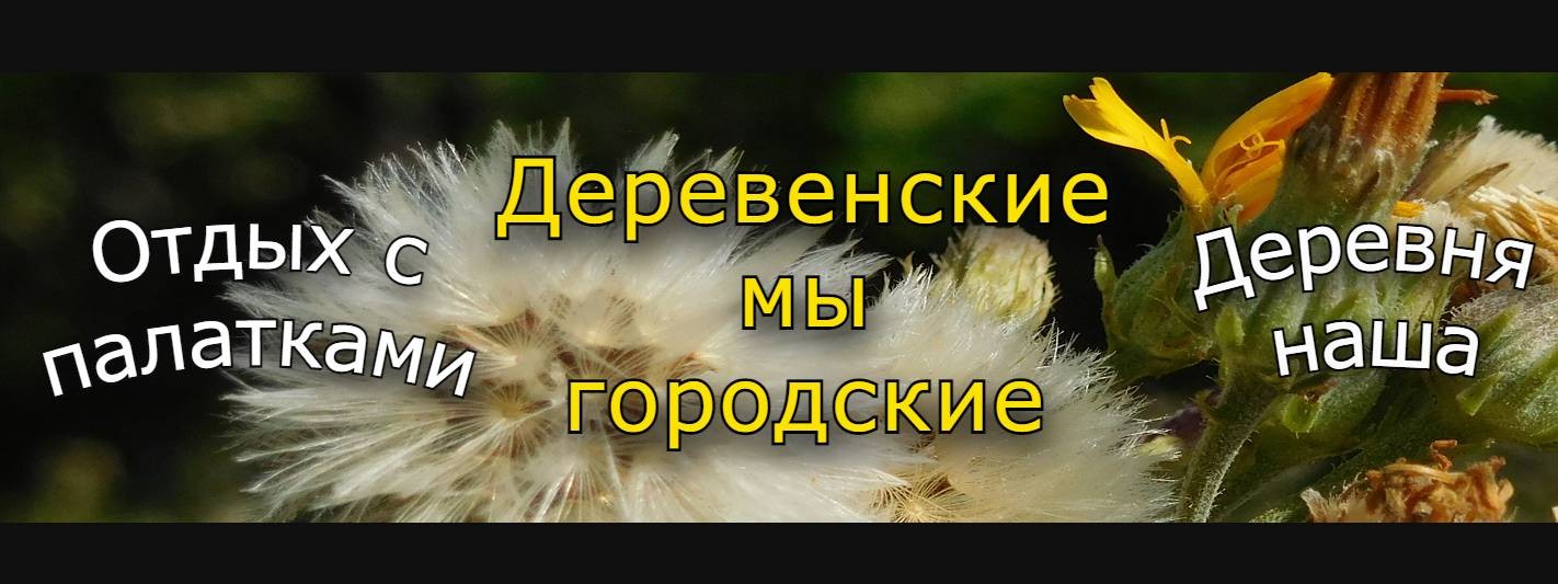 Деревенские мы городские