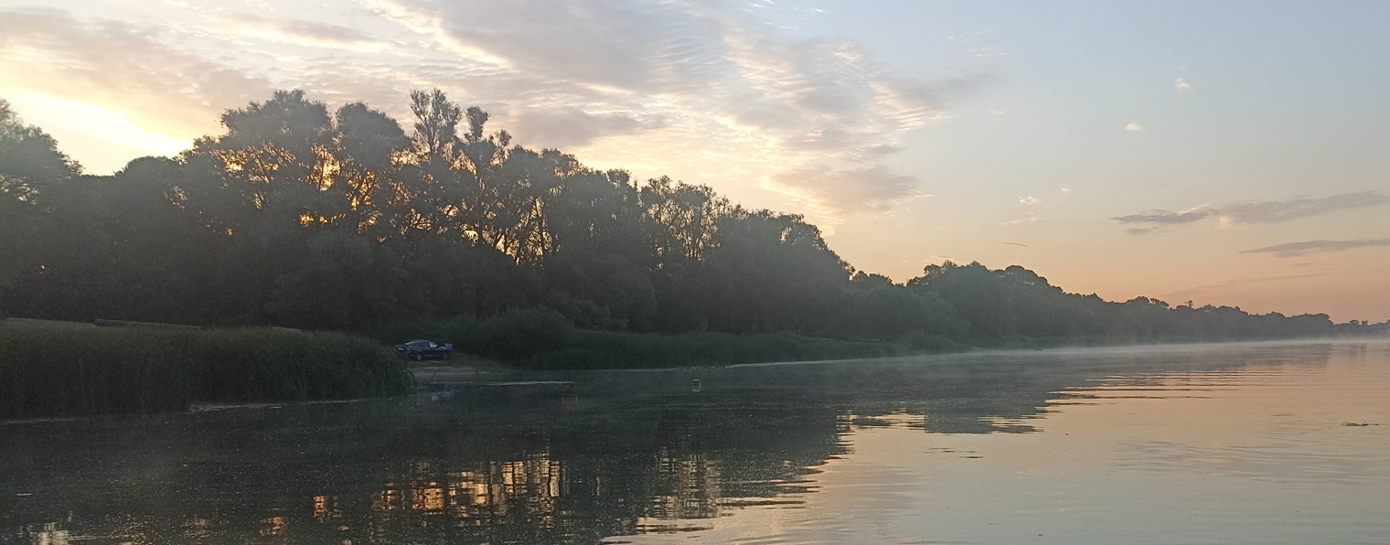 Творчество во всём многообразии
