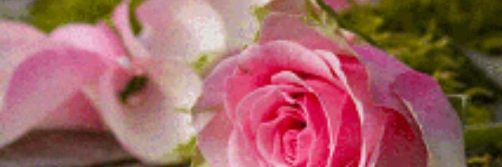 Вкусняшки от Наташки