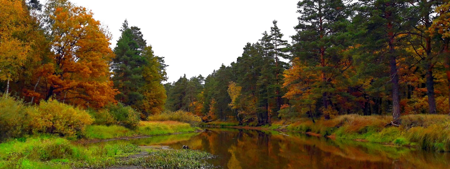 ВЛАДИМИР КУРЫГИН