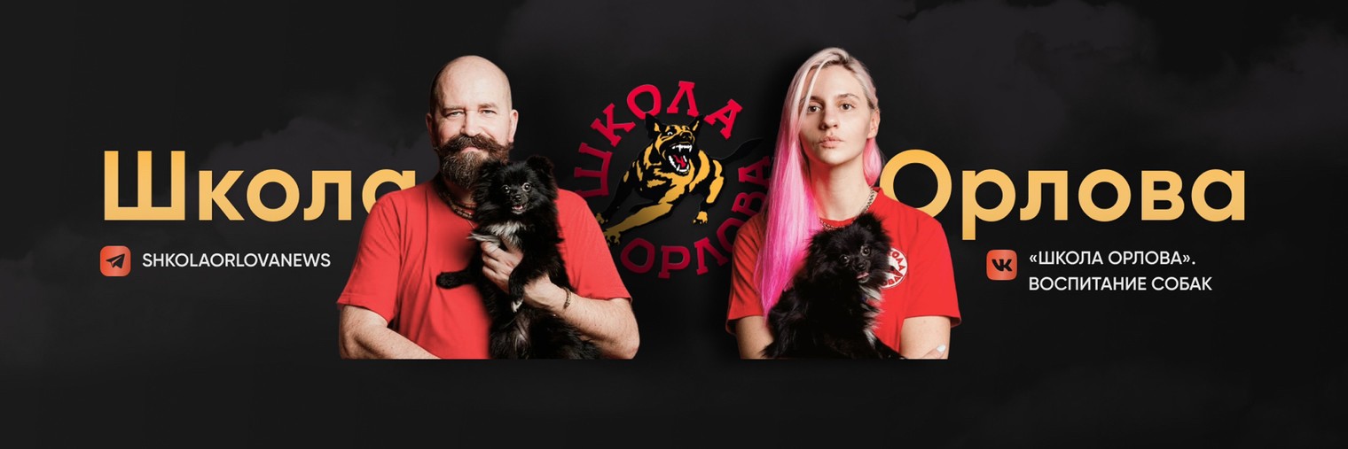 Школа Орлова.Воспитание собак