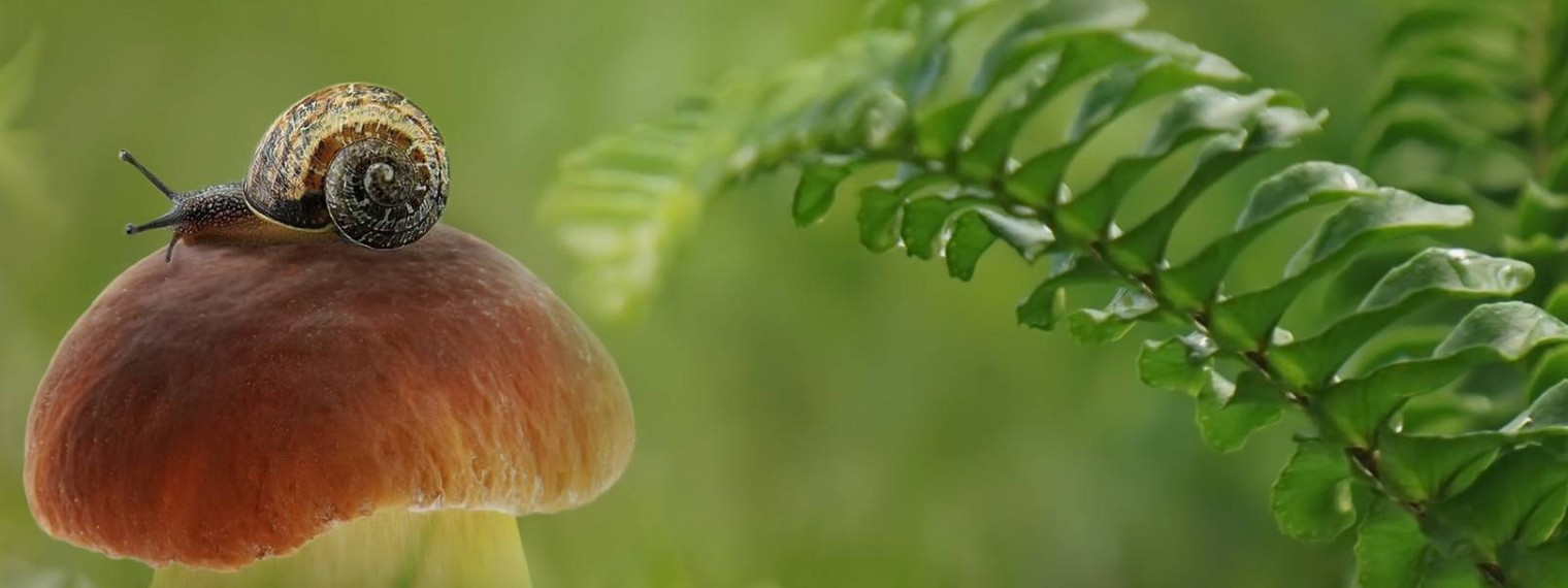 Биология/ТВК