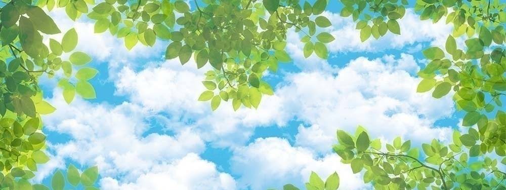 Хоменко Максим Сергеевич