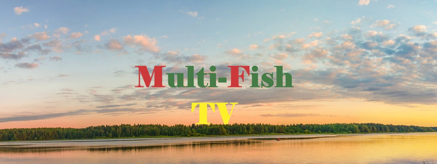 Multi-Fish TV Максим Балаев