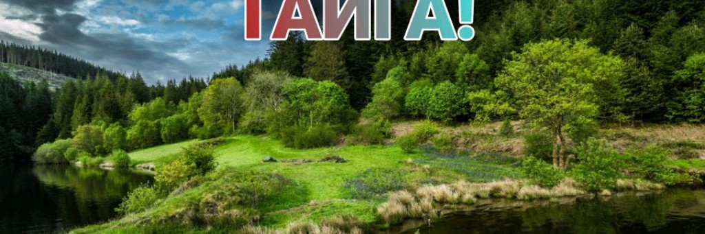 ТАЙГА СЕВЕРА