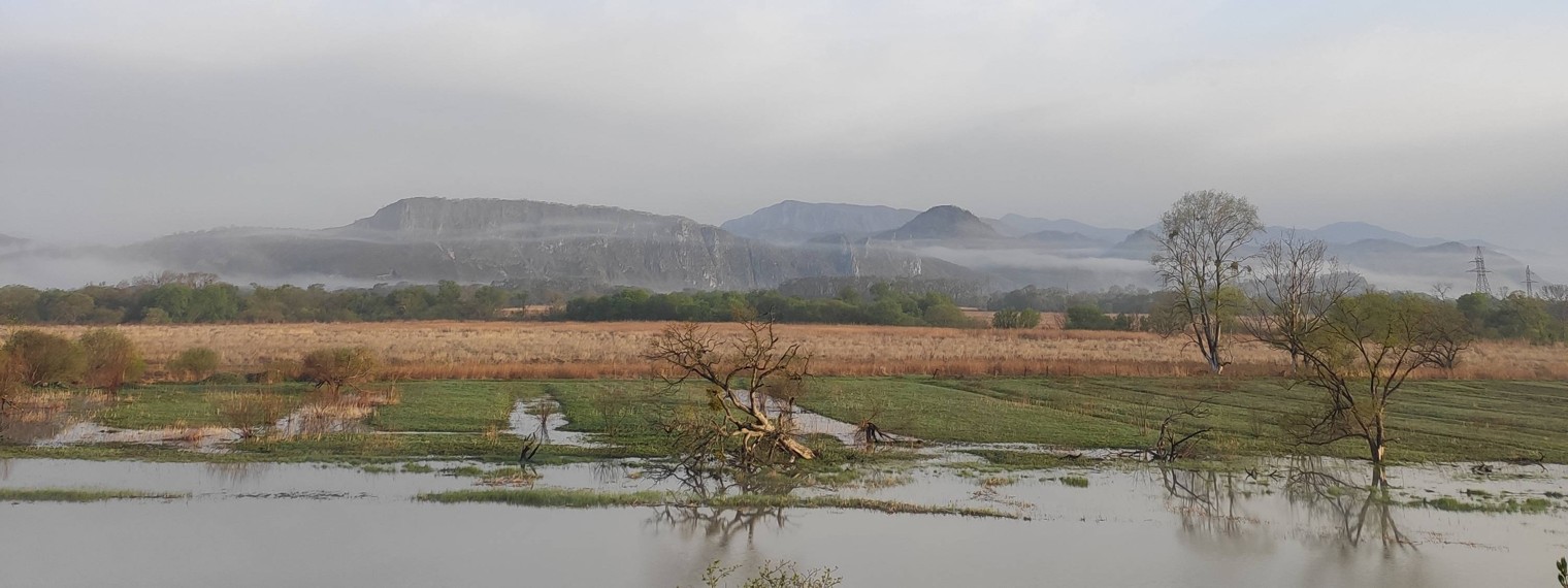 Вован Знает