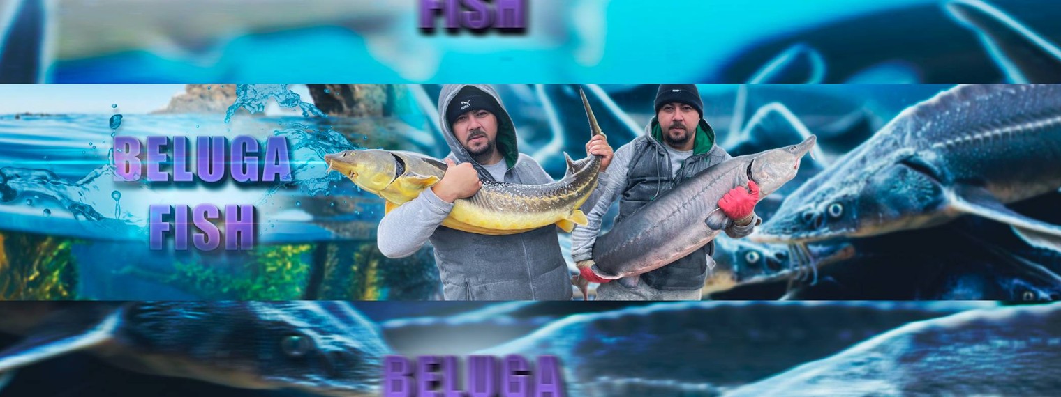 Осетровая ферма "Белугафиш"