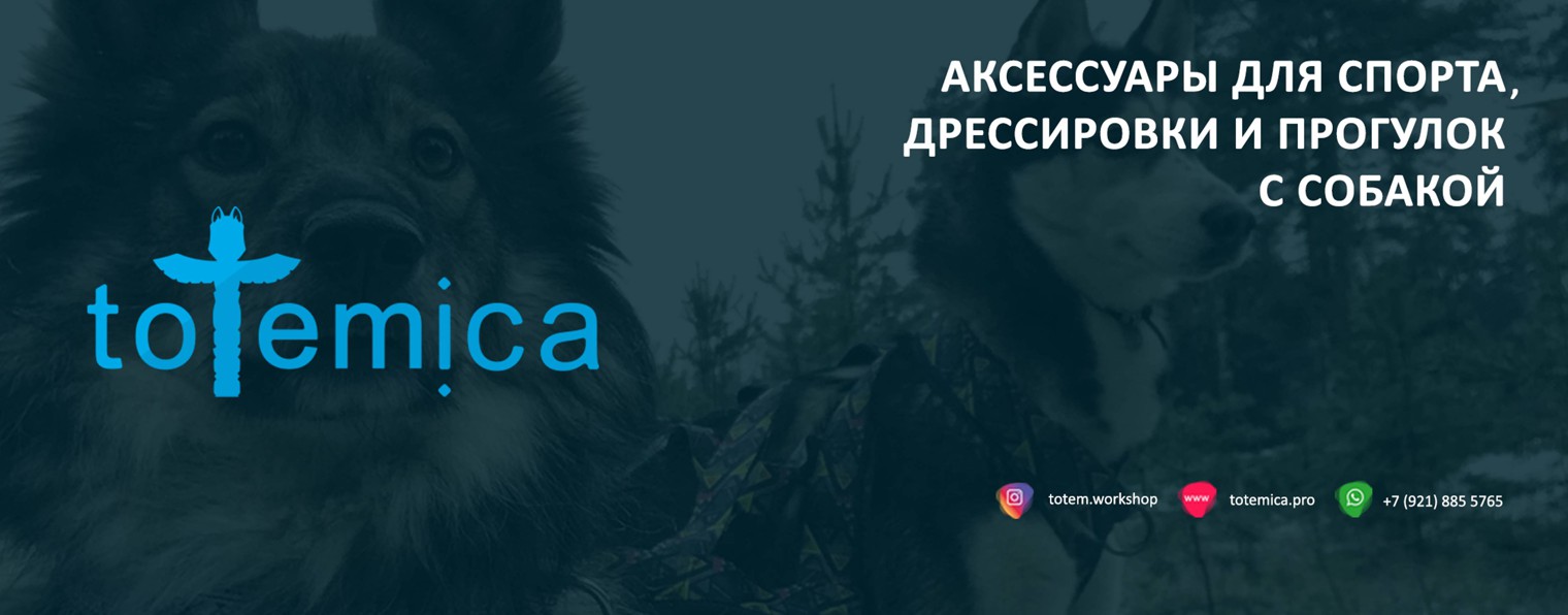 totemica - амуниция для собак