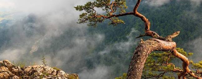 Иванилов Александр Дмитриевич