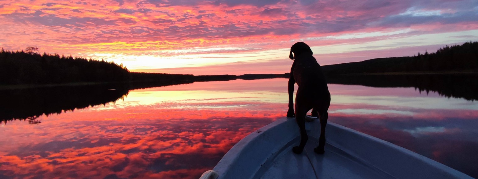 Карпов Михаил