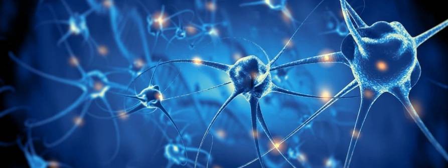 Саморазвитие