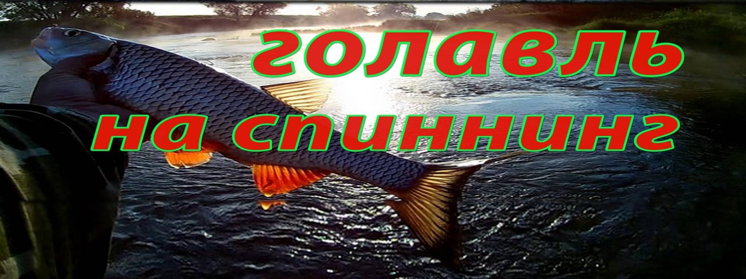 Голавль на спиннинг