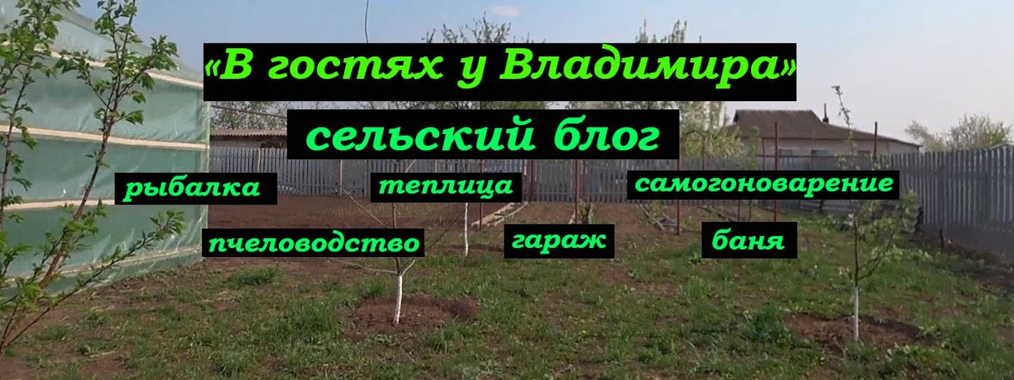 В гостях у Владимира