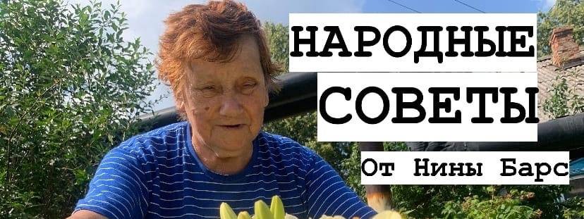 Нина Барс