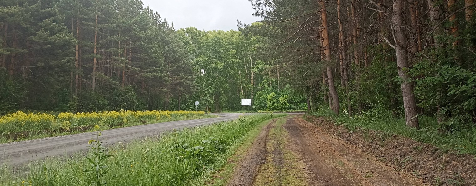 Я живу в Сибири