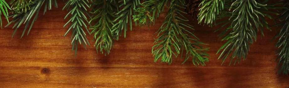 Белгородская Библейская Церковь