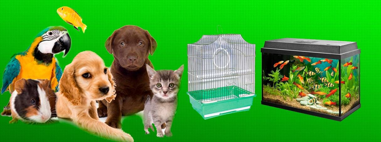 В Мире Животных Фролово