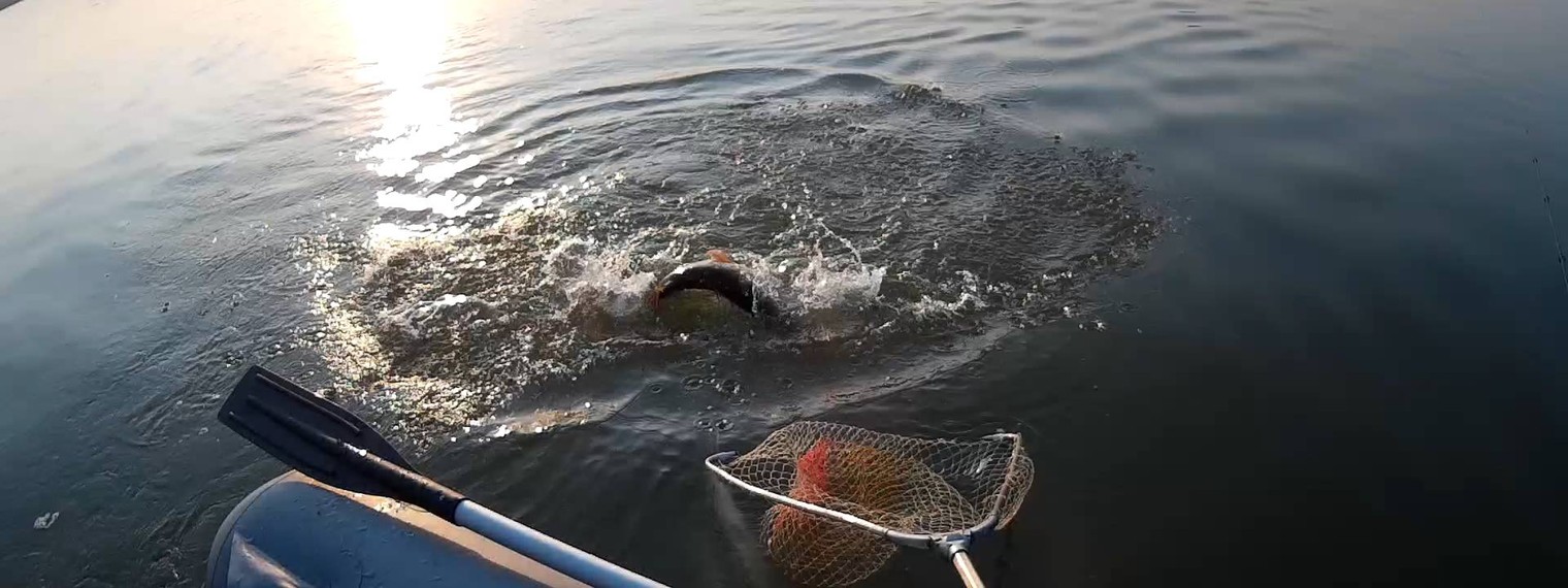 Ловись, рыбка 67!...