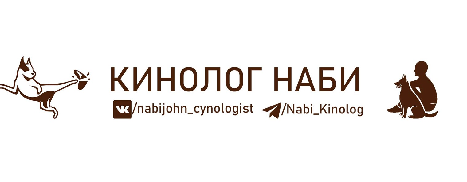 Кинолог Наби | Ваш Кинолог