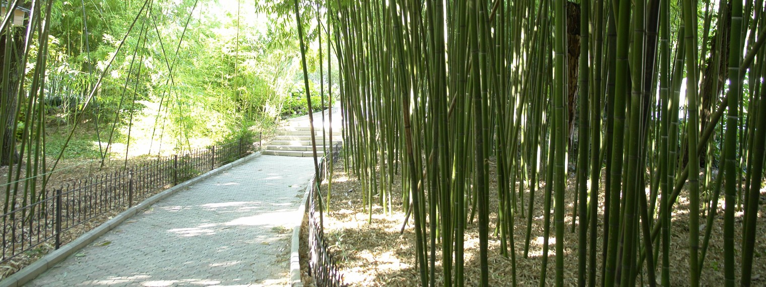 Влад в походе