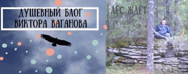 Душевный Блог  Виктора Ваганова