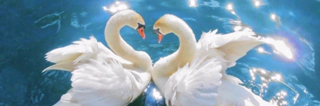 Евгения таролог