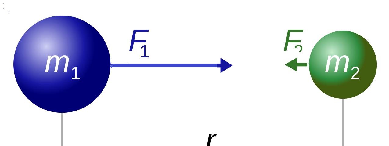 Светлана Елизарова
