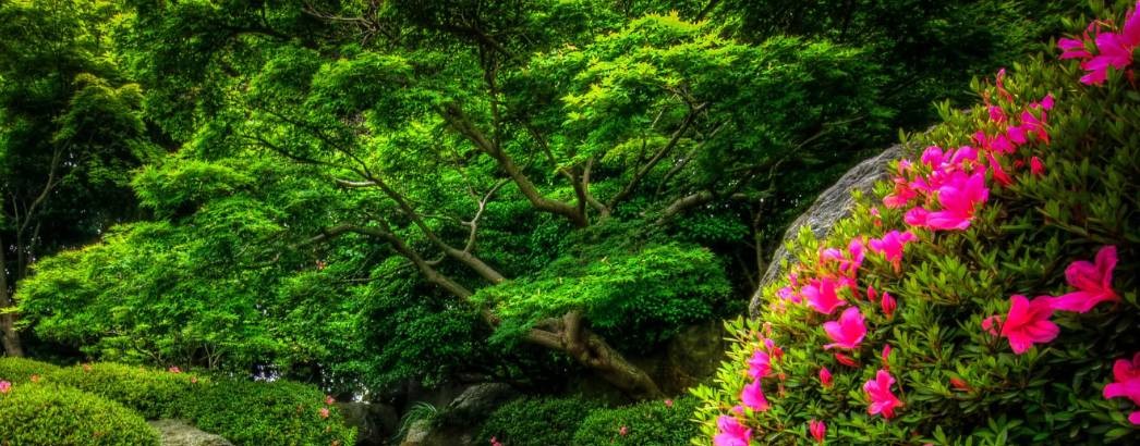 "Цветущие Сады"👑