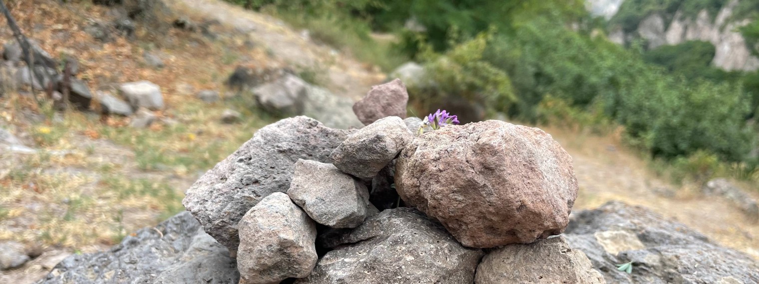 Лауста учебный центр ДПО