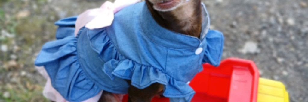 Тот самый Мартин из тик тока