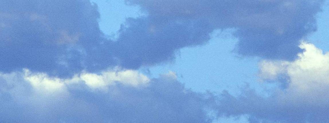 Анатолий  Миронов