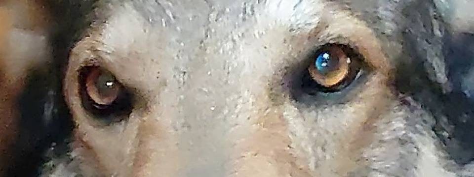 УЛЫБНИСЬ МИРУ И ОН УЛЫБНЁТСЯ В ОТВЕТ