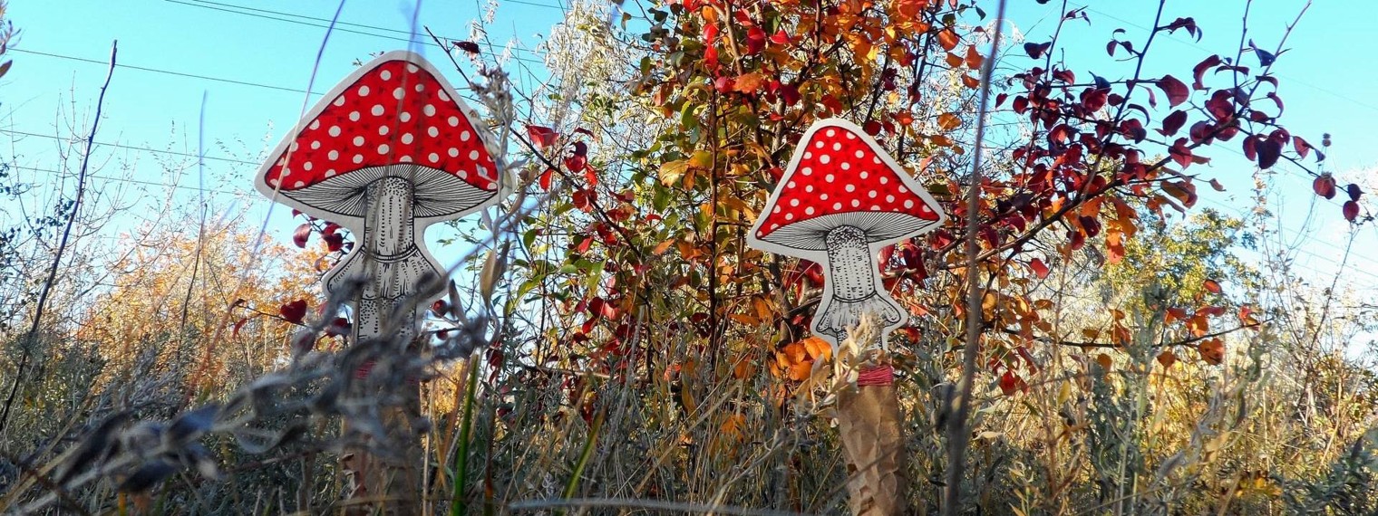 Александр Гнутов-Баюн