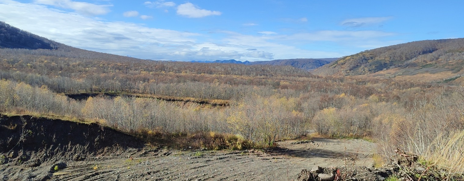 Максим Ткачëв