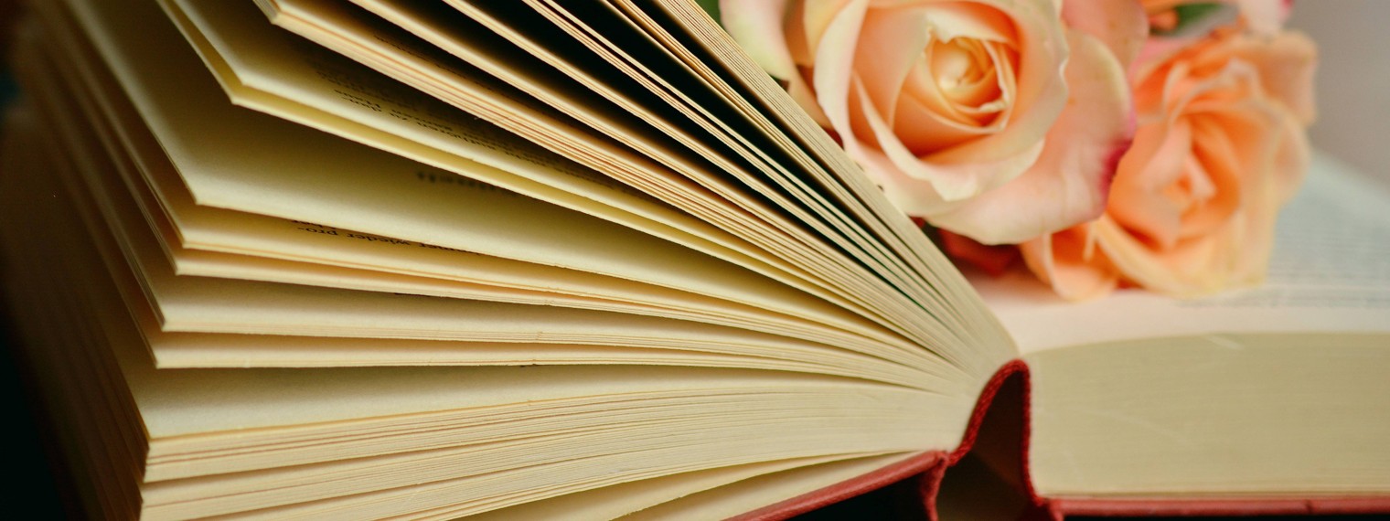 Межпоселенческая библиотека Рыльского района