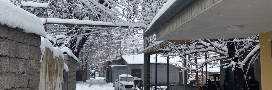 ДОРОЖКА ПАВЛОВА