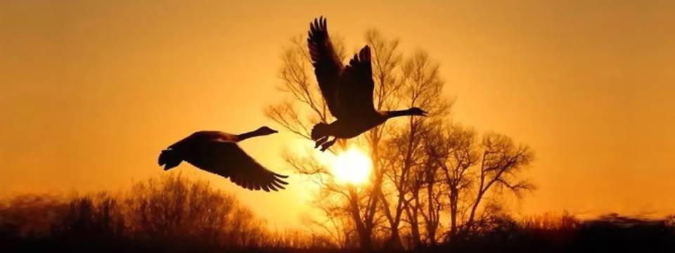 Людмила 💕Жизнь В Деревне.🏡