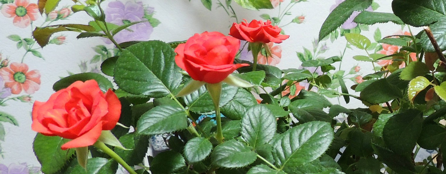 Учимся вместе