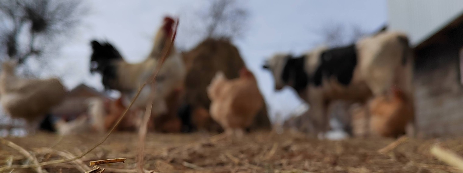 Ильназ Газизов