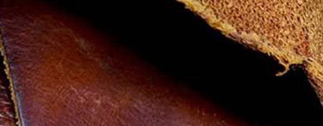 Only leather, only hands