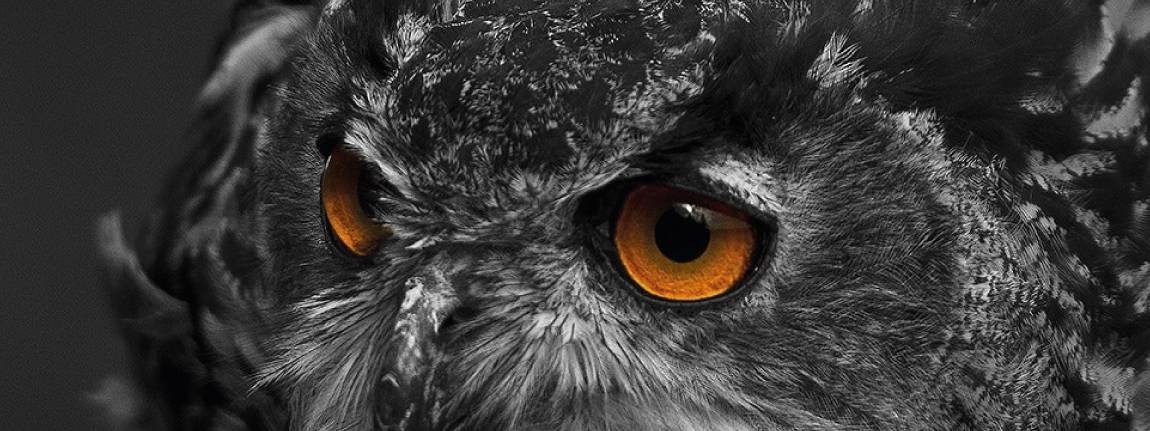 На природе в Коми