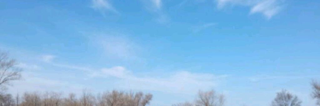 Деревенская Жизнь в городской черте