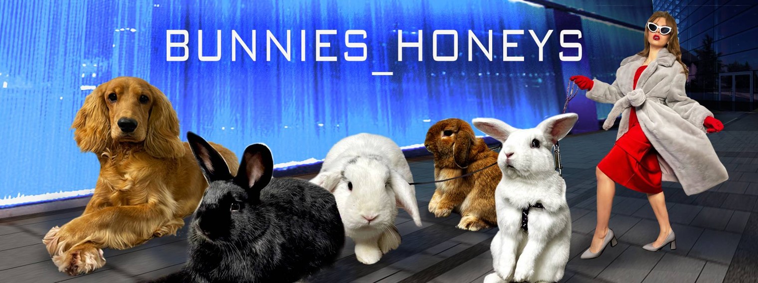 BUNNIES HONEYS