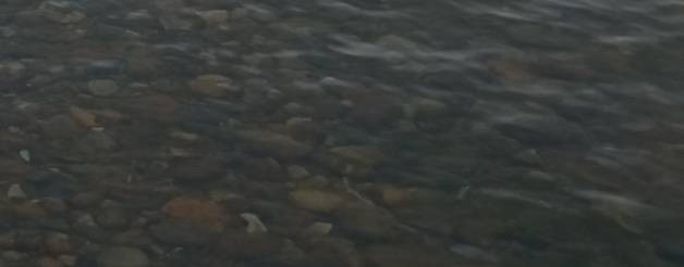 Село в Сибири