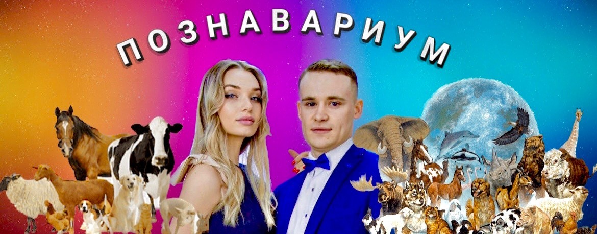 ПОЗНАВАРИУМ с Женей и Надей