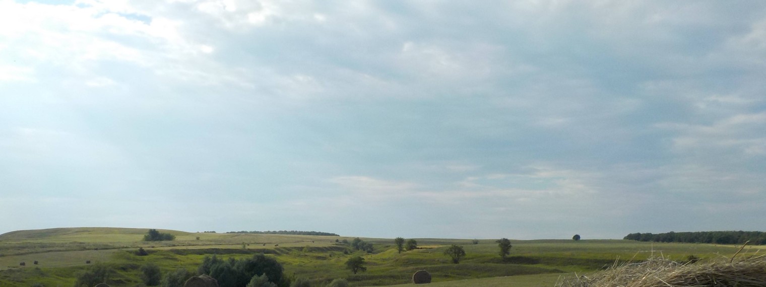 Сергей Татаринцев