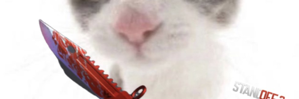 - Z E H 1 R -
