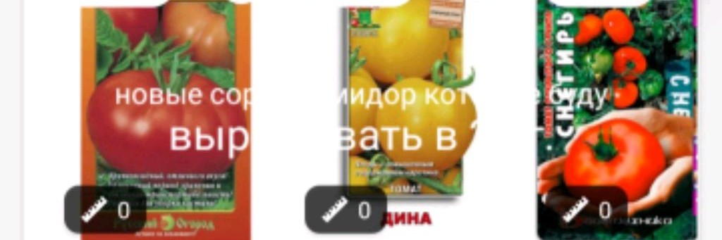 Вера Забавина Мой Огород🙂