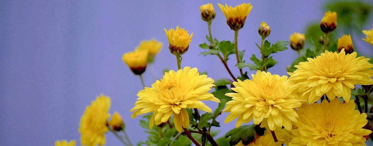 Татьяна - elojcka