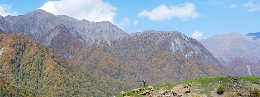 Сладкая деревушка